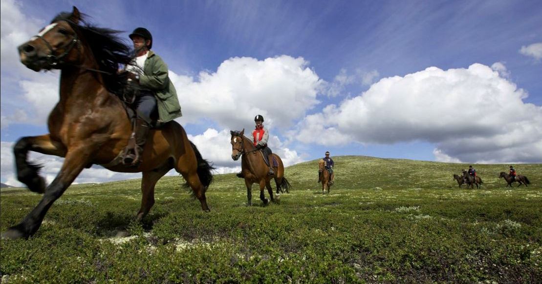 Rideleir - Gardsfruene