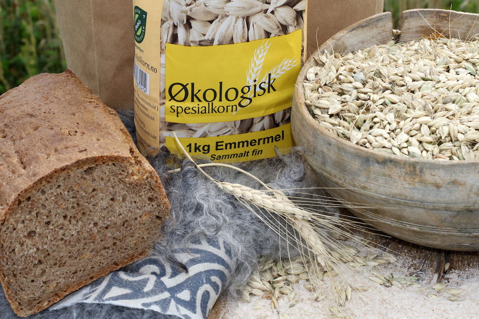 Urkorn tresking og fotoshoot - Gardsfruene