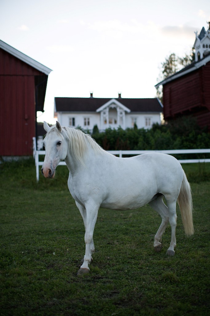 I gode og onde dager.. - Gardsfruene